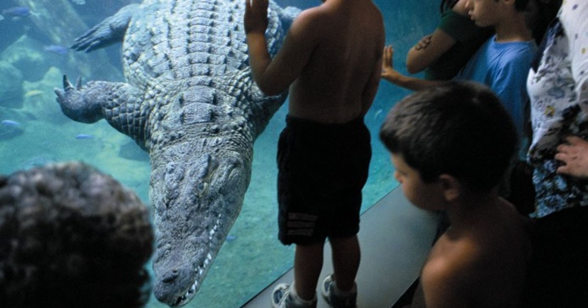 Zoo Basel - Basel-Stadt