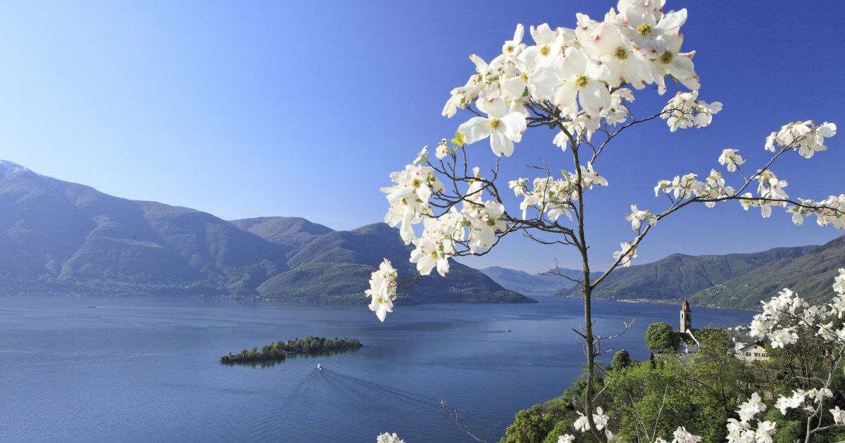 Brissago-Inseln - Lago Maggiore - Kt. Tessin